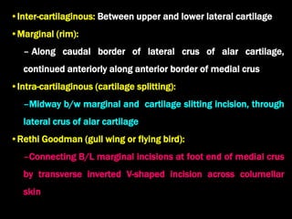 Principles of rhinoplasty | PPT