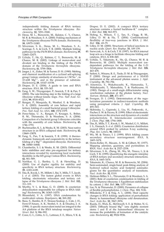 Principles of RNA compaction : insights from equilibrium folding ...