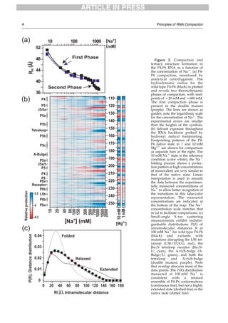 Principles of RNA compaction : insights from equilibrium folding ...