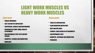 Principles of Roods Approach!!!!!!!.pptx