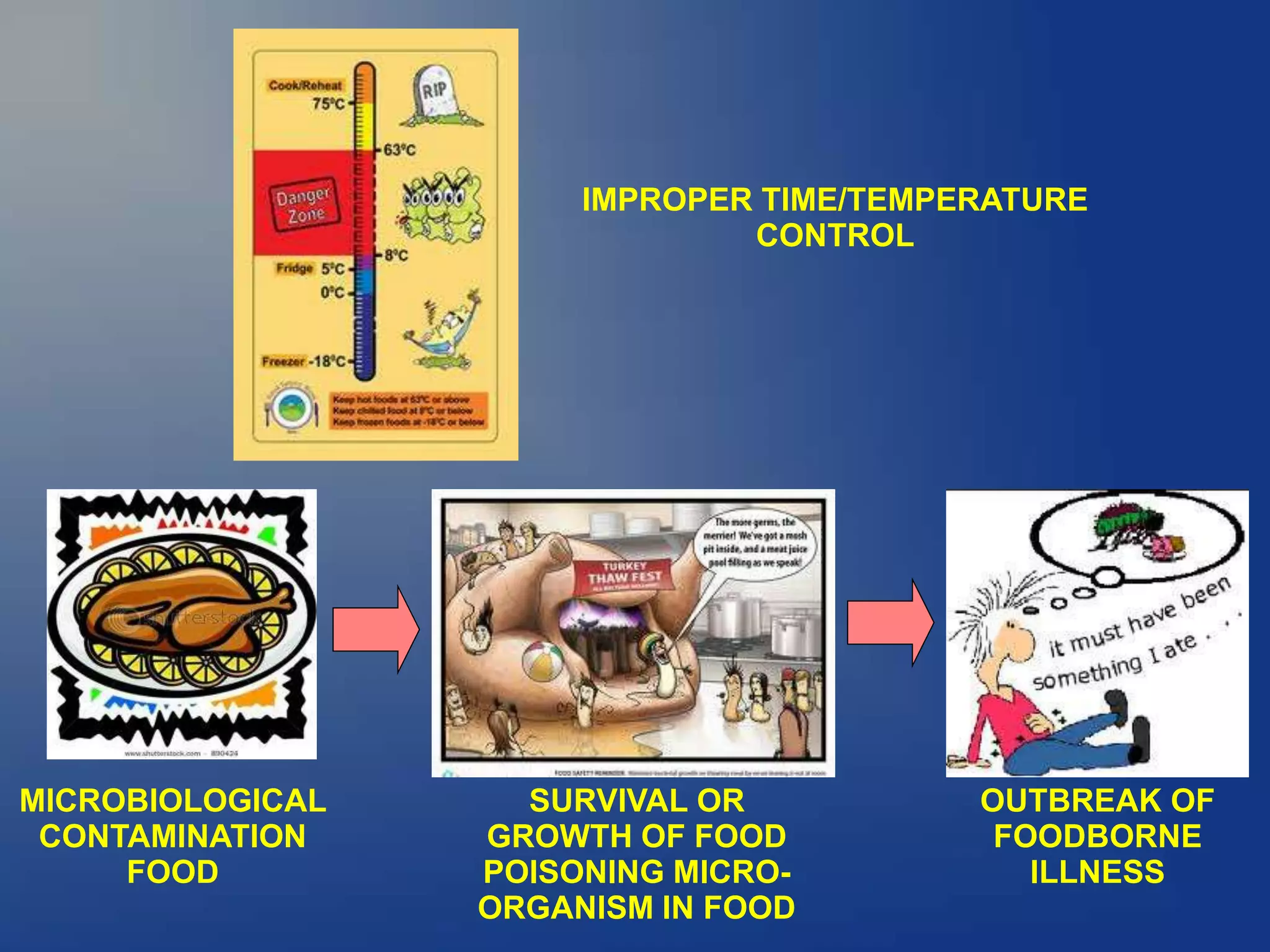 Principles of safety, hygiene and satination powerpoint | PPT