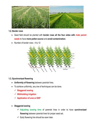 Principles of seed production 2.pdf