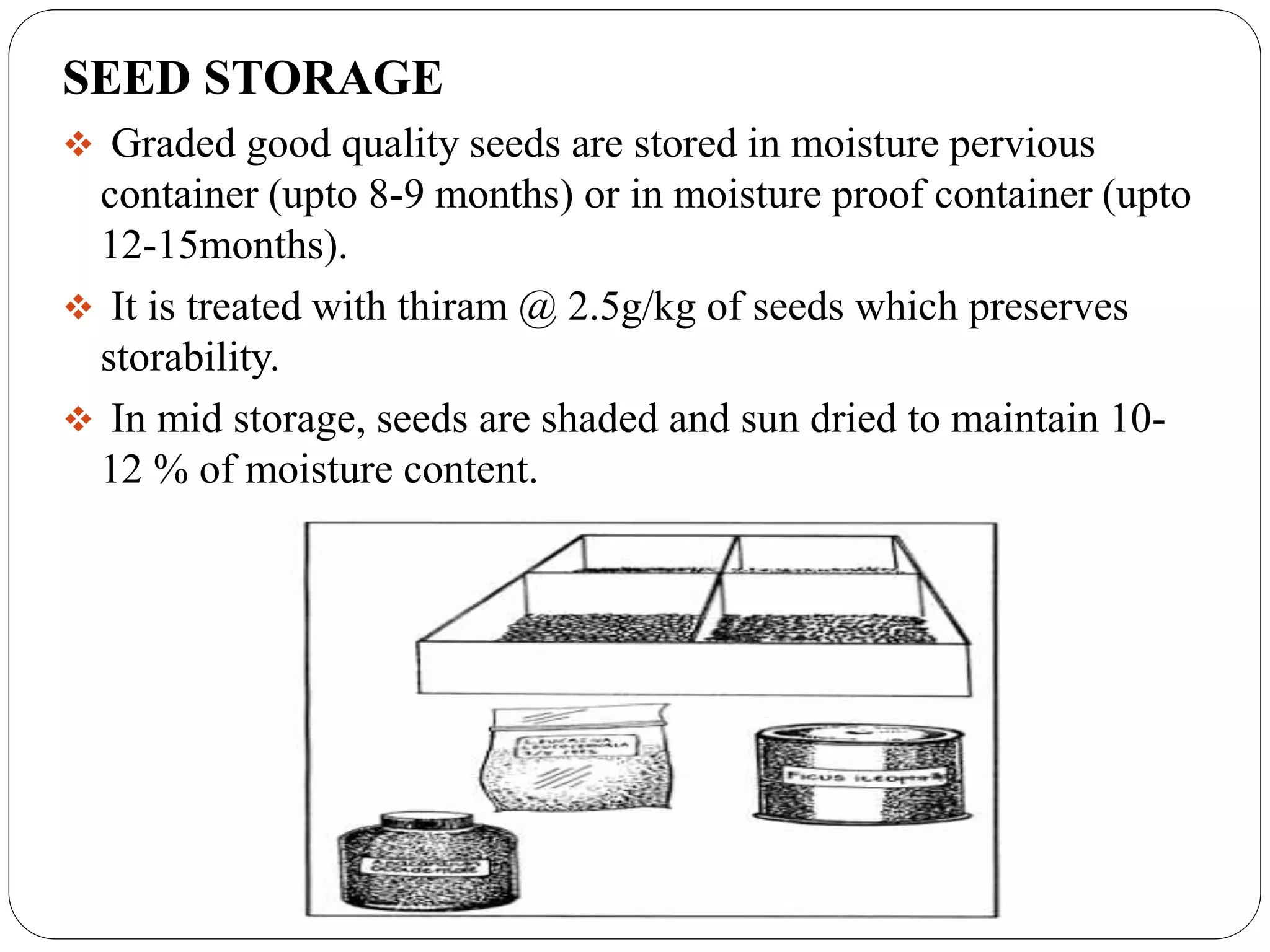Cotton seed production in hybrids & varieties | PPTX