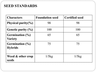 Cotton seed production in hybrids & varieties | PPTX