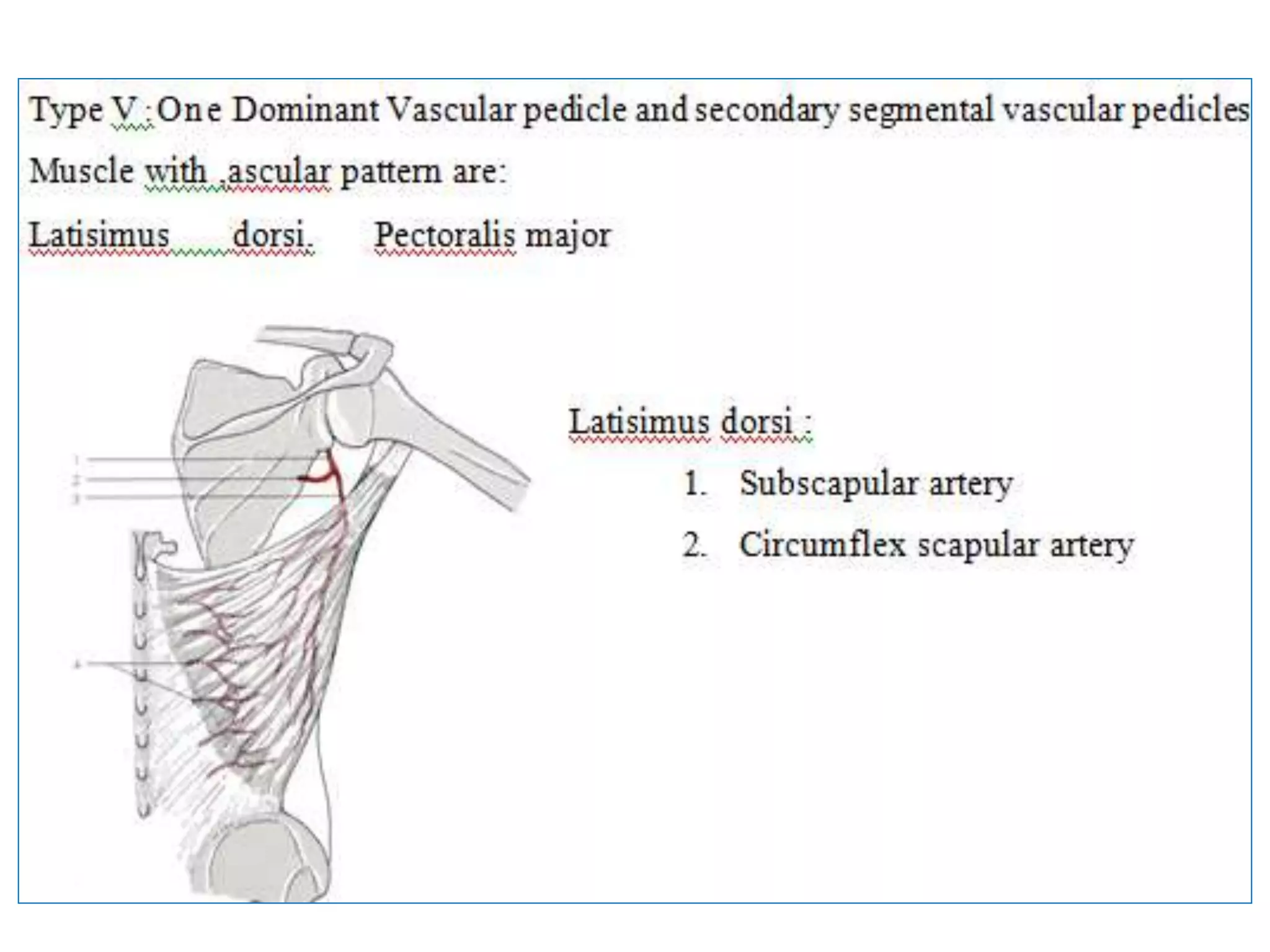PRINCIPLES of SKIN GRAFT and FLAP.ppt | First Aid | Injuries