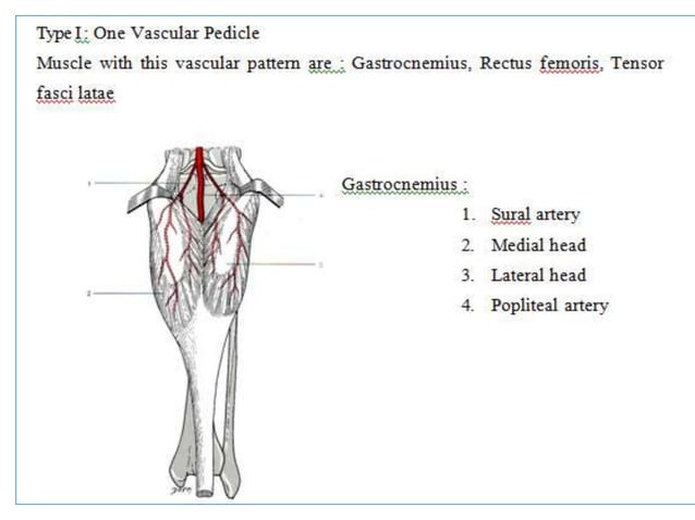 PRINCIPLES of SKIN GRAFT and FLAP.ppt | First Aid | Injuries