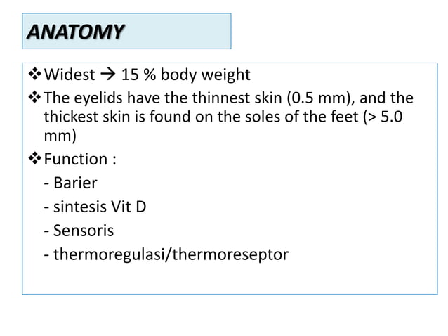 PRINCIPLES of SKIN GRAFT and FLAP.ppt | First Aid | Injuries