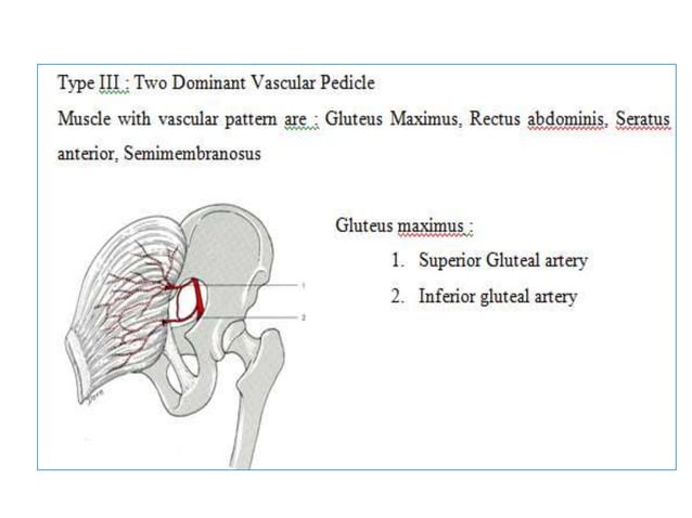 PRINCIPLES of SKIN GRAFT and FLAP.ppt | First Aid | Injuries