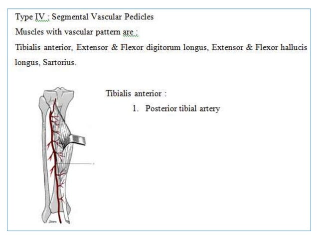 PRINCIPLES of SKIN GRAFT and FLAP.ppt | First Aid | Injuries