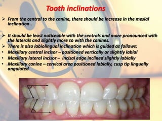 Principles of smile design | PPTX