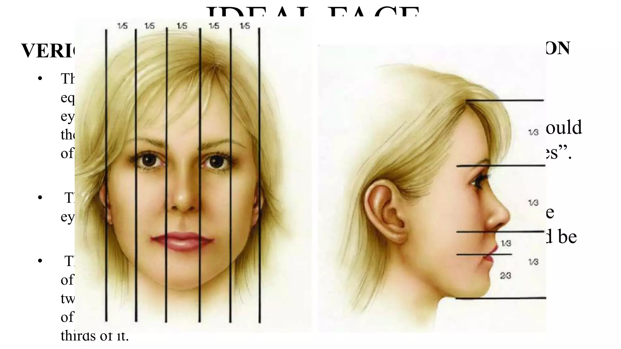 Principles of smile design | PPTX