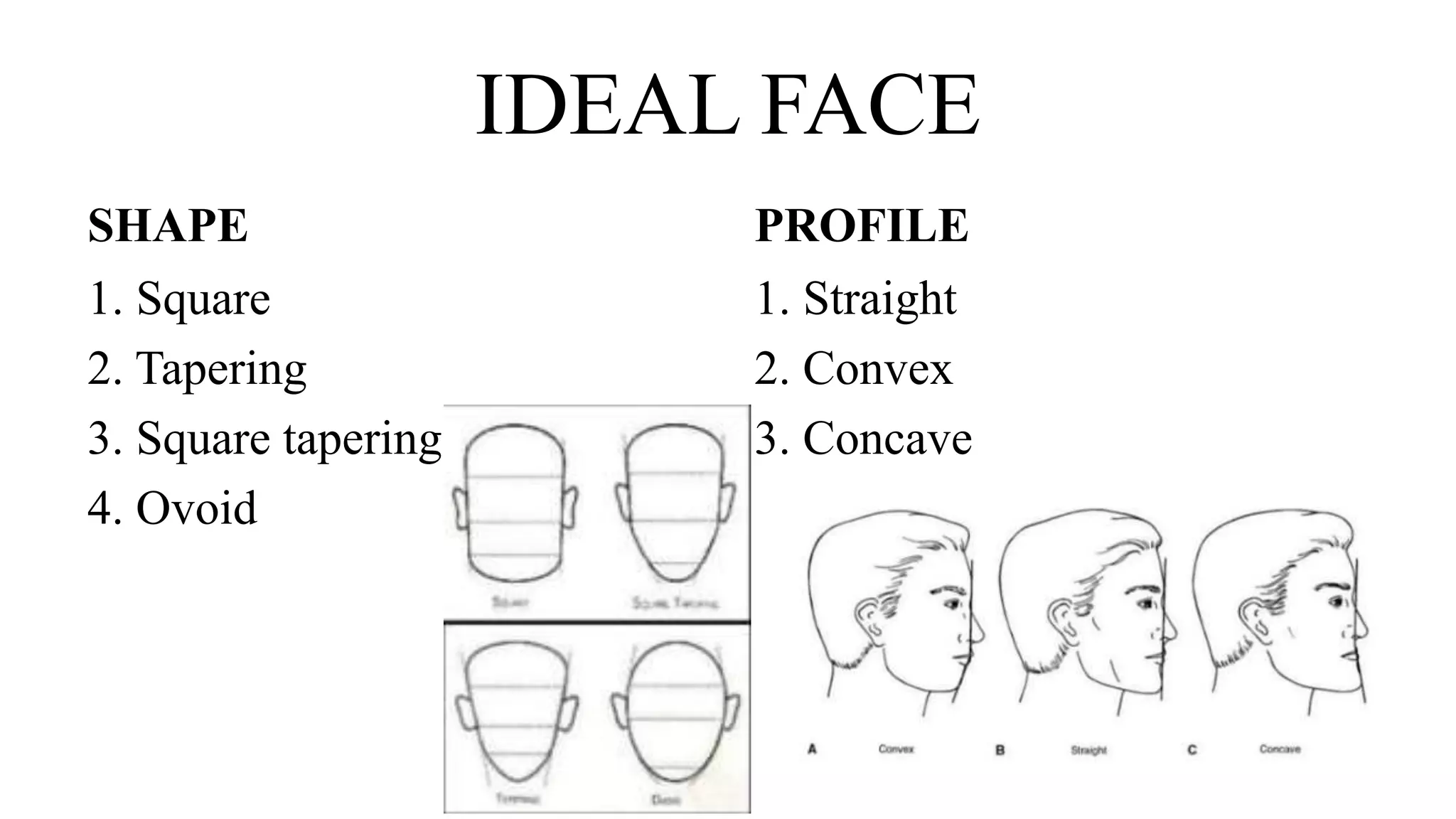 Principles of smile design | PPTX