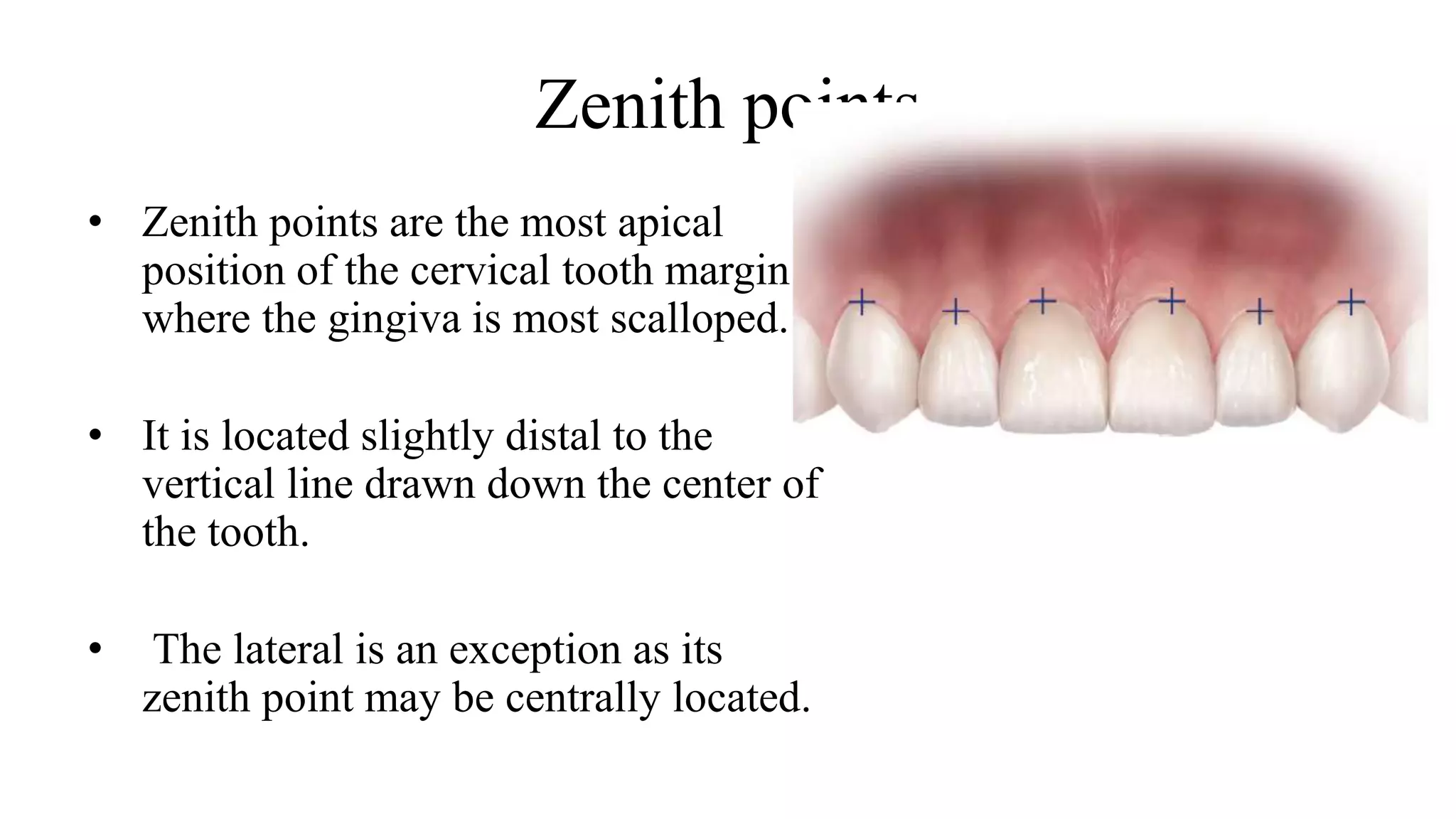 Principles of smile design | PPTX