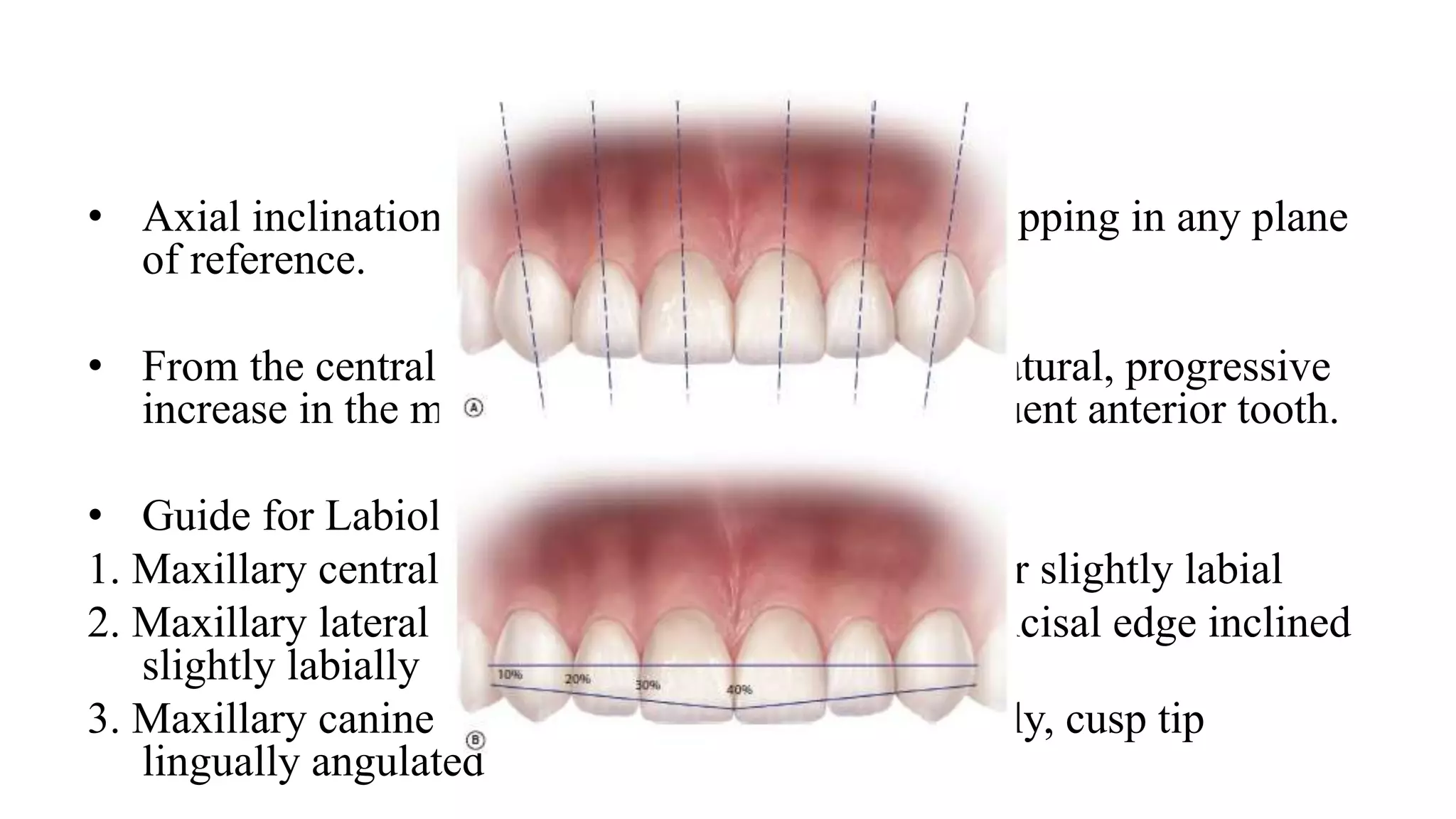 Principles of smile design | PPTX