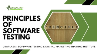 Principles of Software Testing | PDF