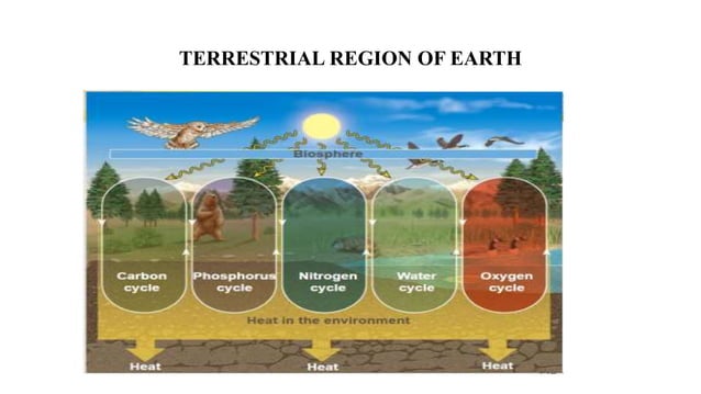 Principles of solar radiation | PPTX | Physics | Science