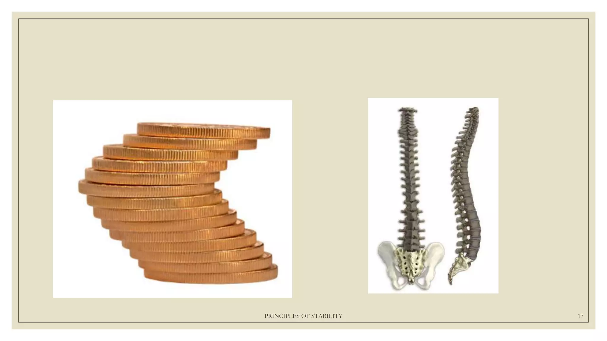Principles of Stability | PPTX