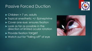 Principles of strabismus surgery part 2 of 3 | PDF