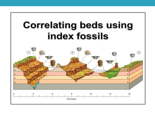 Principles of stratigraphy | PPTX