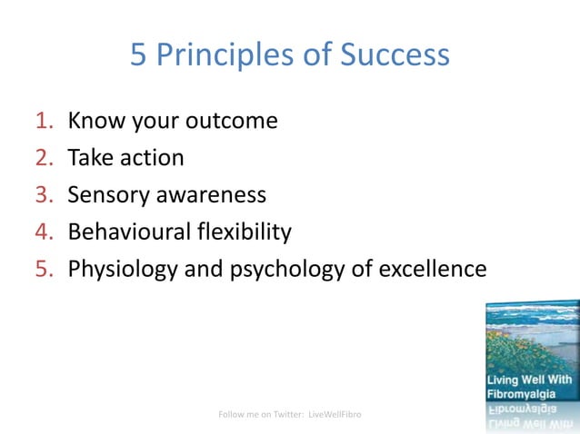 NLP Principles of Success and Fibromyalgia | PPTX | Physical Therapy ...