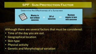 PRINCIPLES OF SUN PROTECTION - Classification and Formulations of ...