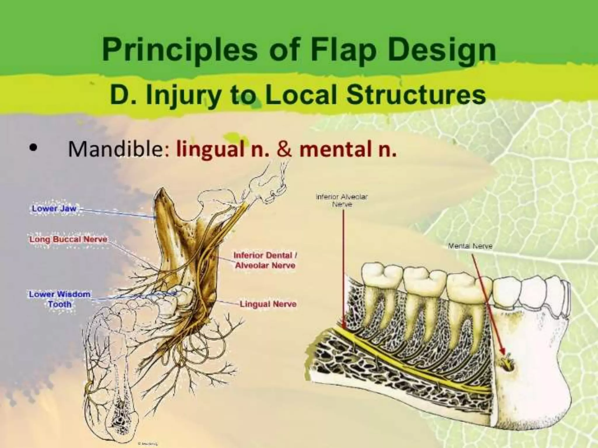 Principles of suture and flap design | PPTX