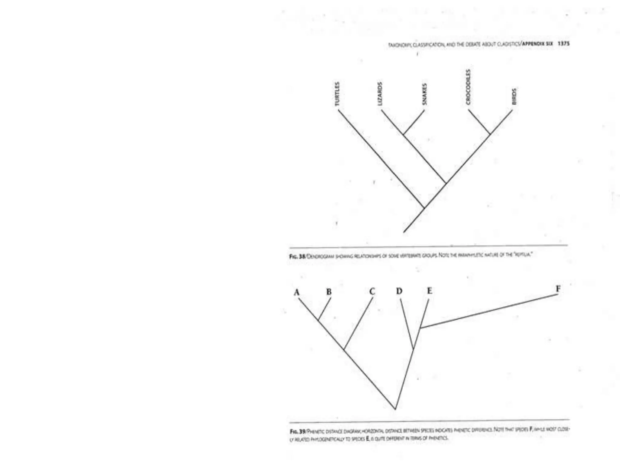 Principles Of Taxonomy Pptx