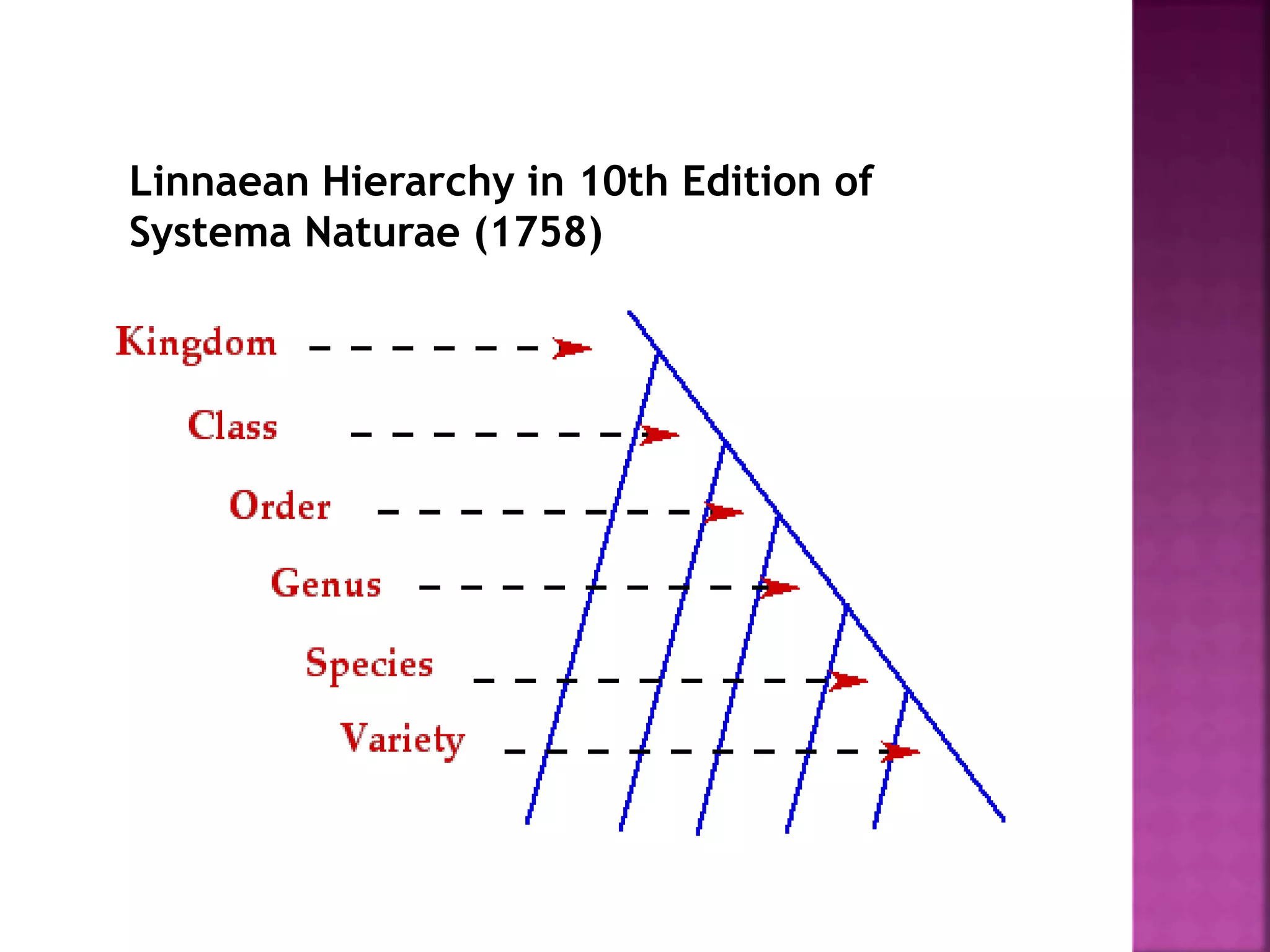 Principles of taxonomy | PPTX