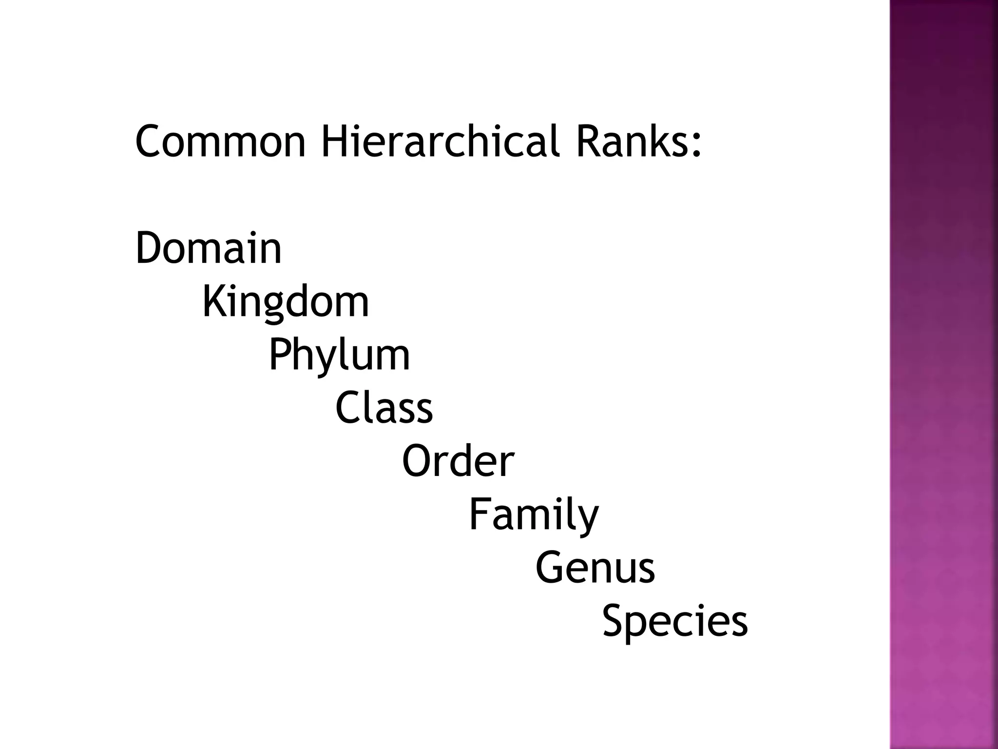 Principles of taxonomy | PPTX