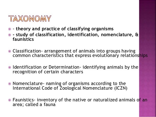 Principles of taxonomy