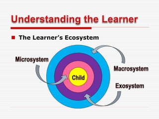 Principles of teaching | PPTX