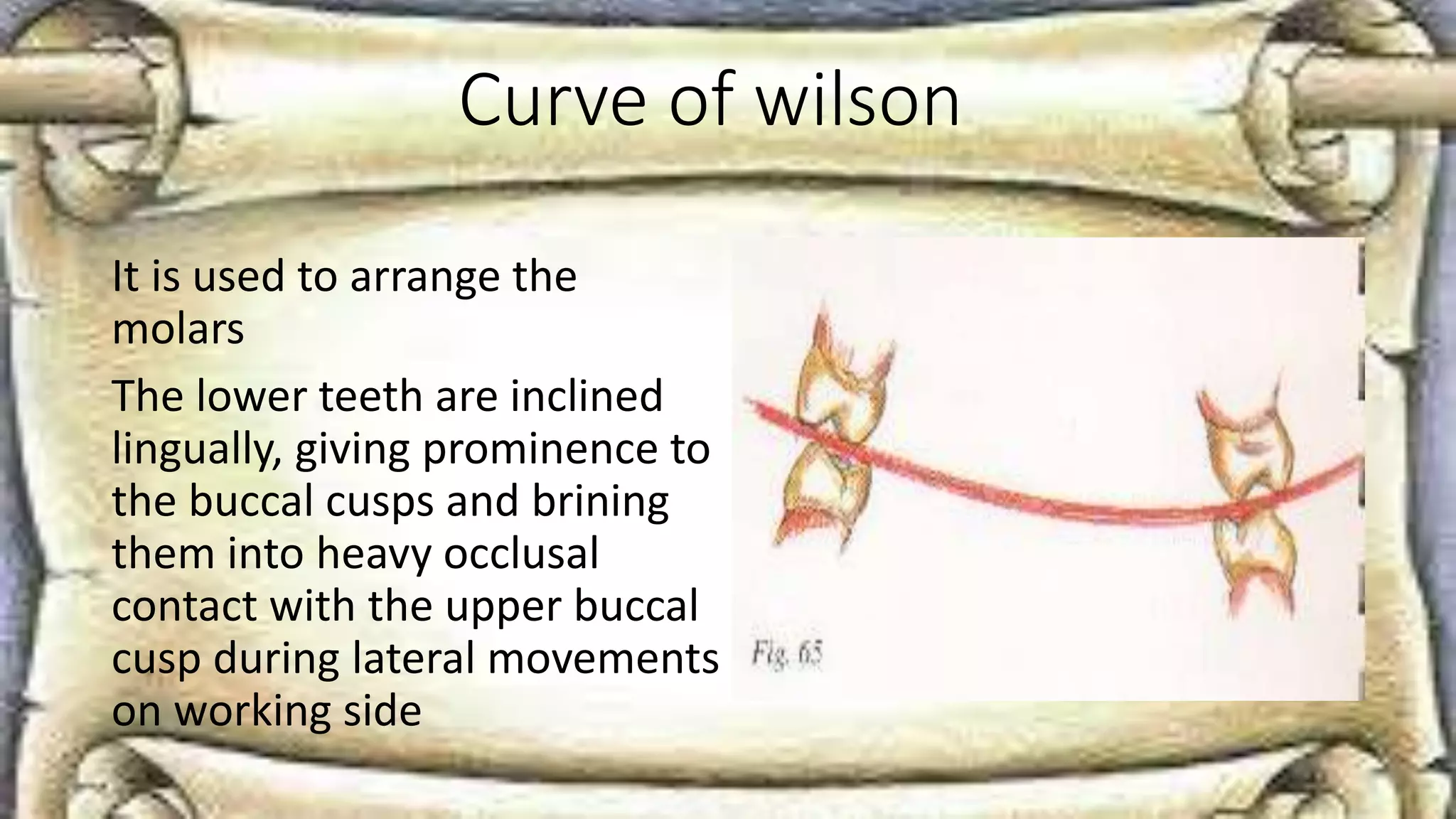 Principles of teeth arrangement and compensatory curves | PPTX