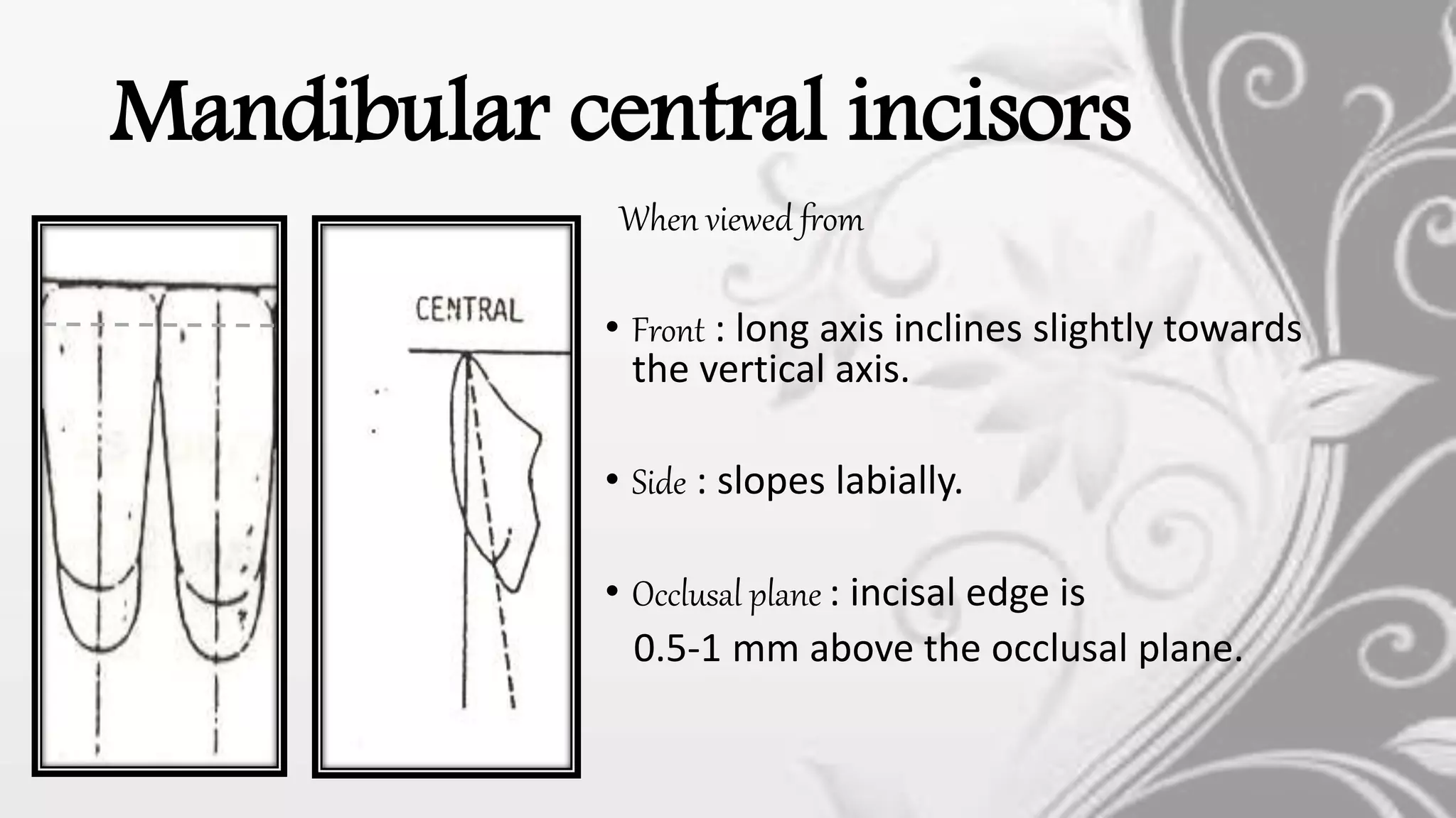 Principles of teeth arrangement and compensatory curves | PPTX
