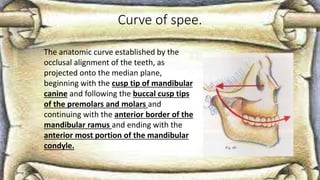 Principles of teeth arrangement and compensatory curves | PPTX