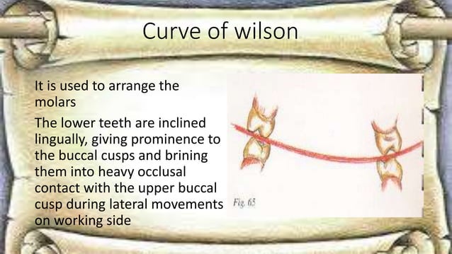 Principles of teeth arrangement and compensatory curves | PPTX