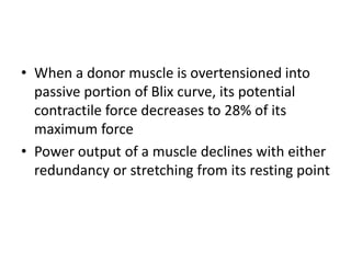 Principles of tendon transfer | PPTX