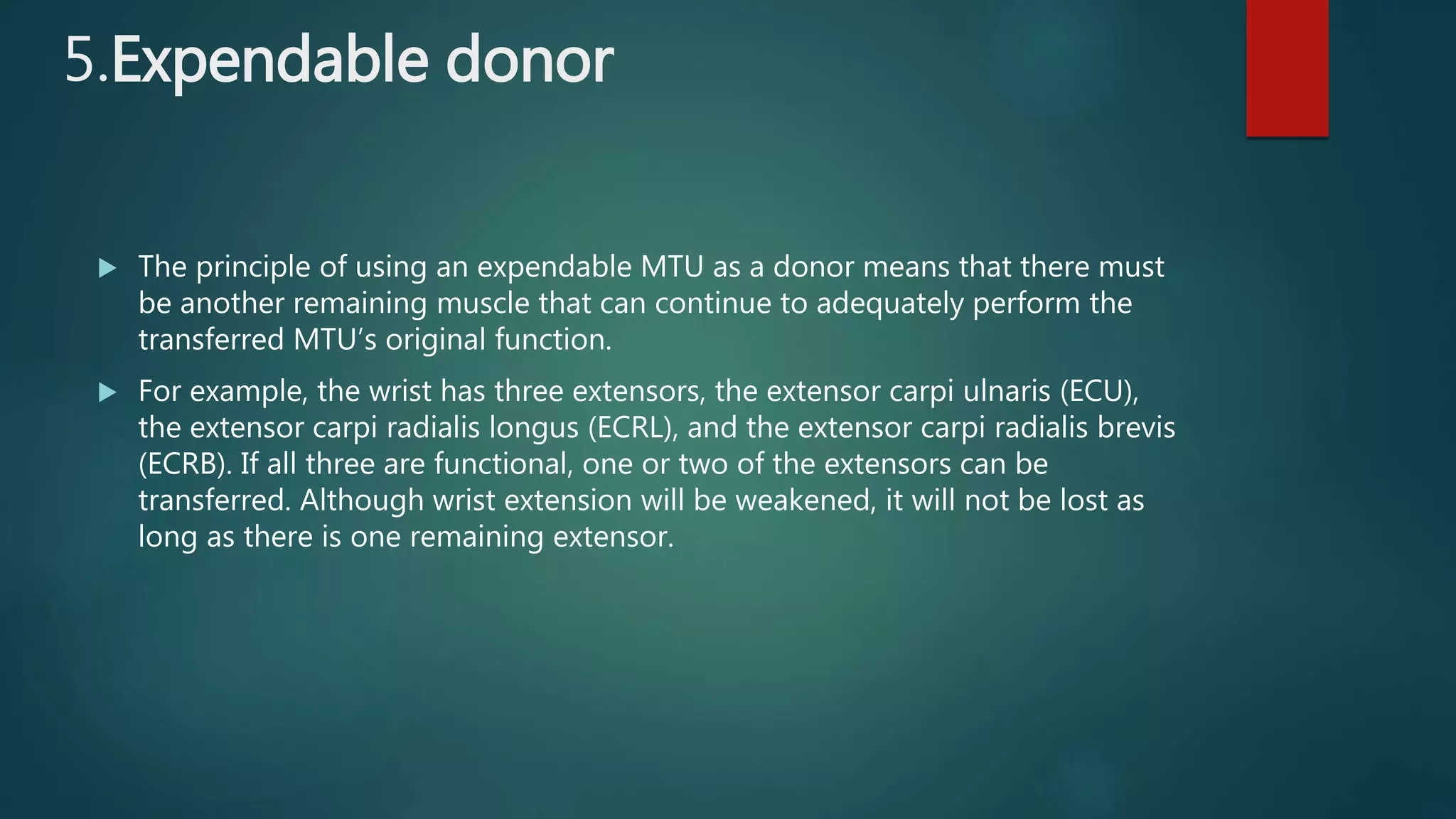 PRINCIPLES OF TENDON TRANSFERS | PPTX