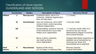 PRINCIPLES OF TENDON TRANSFERS | PPTX