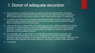 PRINCIPLES OF TENDON TRANSFERS | PPTX
