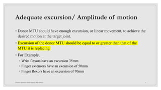 Principles of tendon transfer surgeries in rehabilitation | PPTX ...