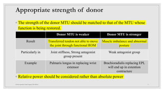 Principles of tendon transfer surgeries in rehabilitation | PPTX