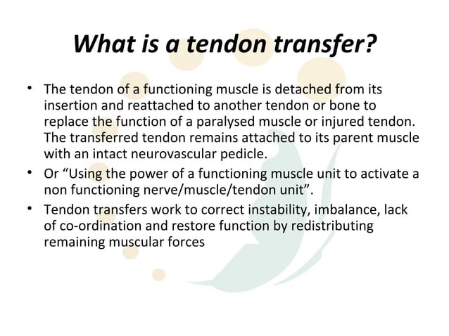 Principles of tendon transfersw | PPT