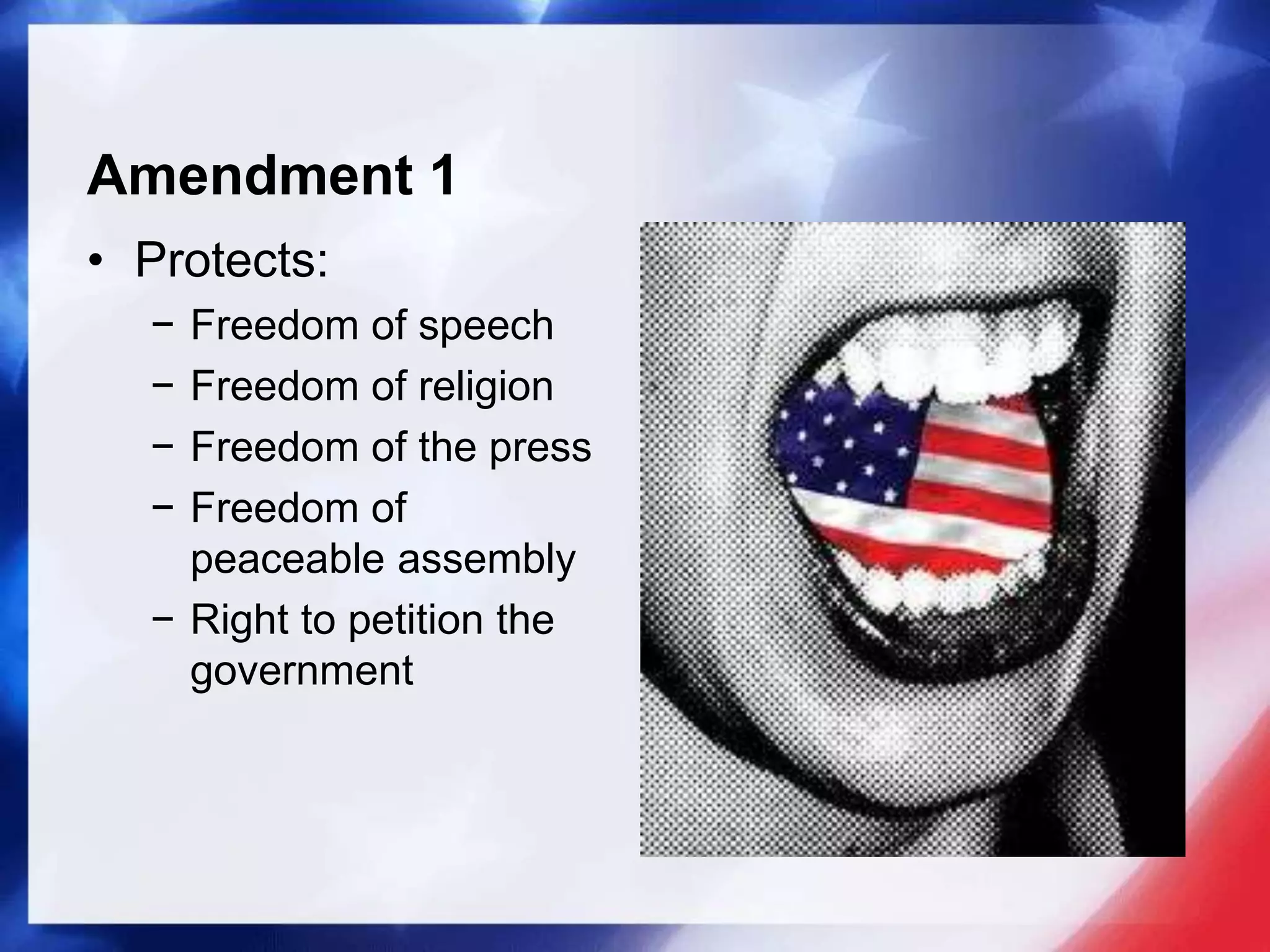 Principles of the Constitution | PPTX