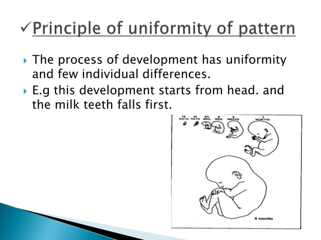 Principles of the development of childern | PPT