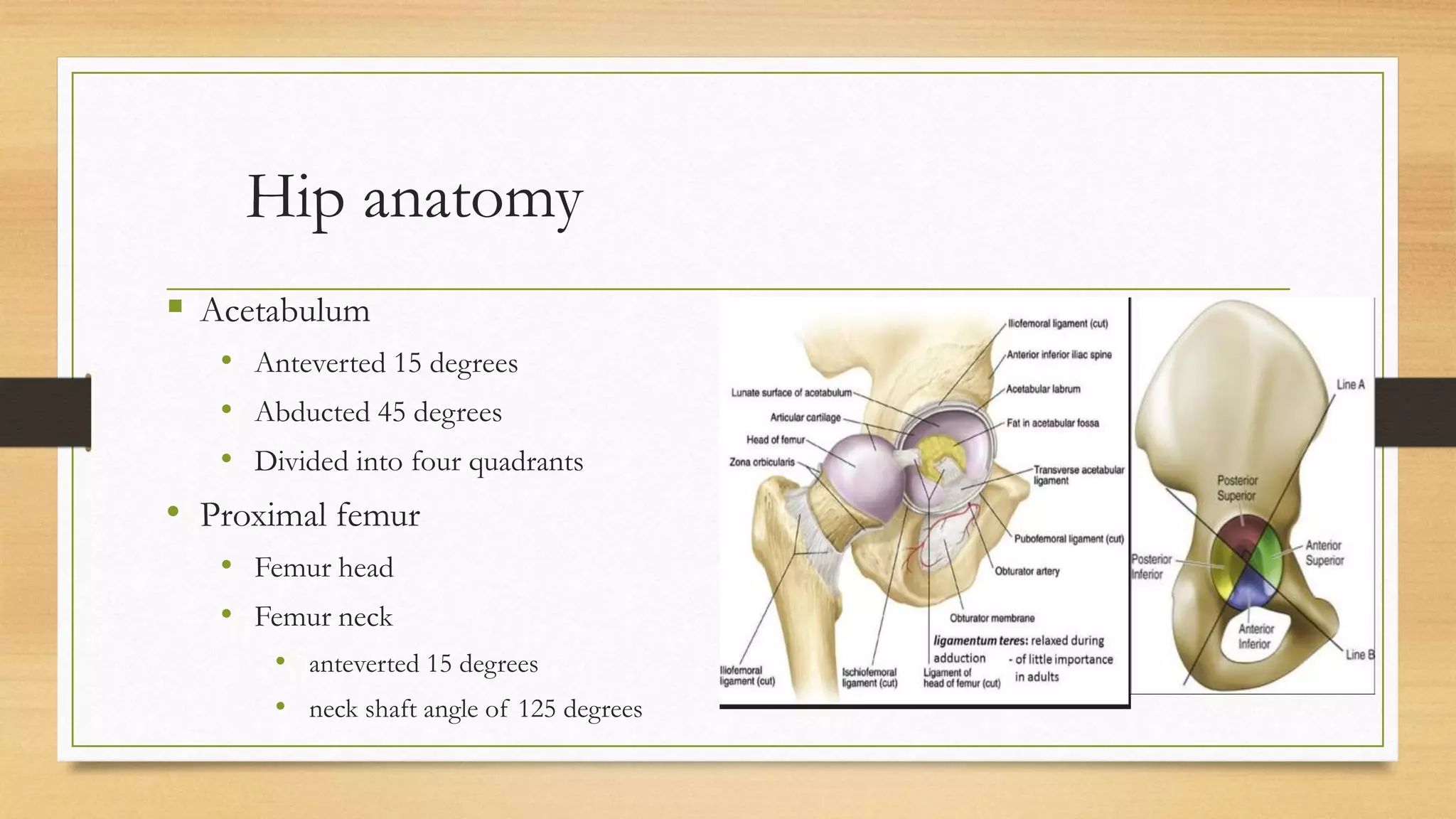 Principles Of Total Hip Replacement | PPTX