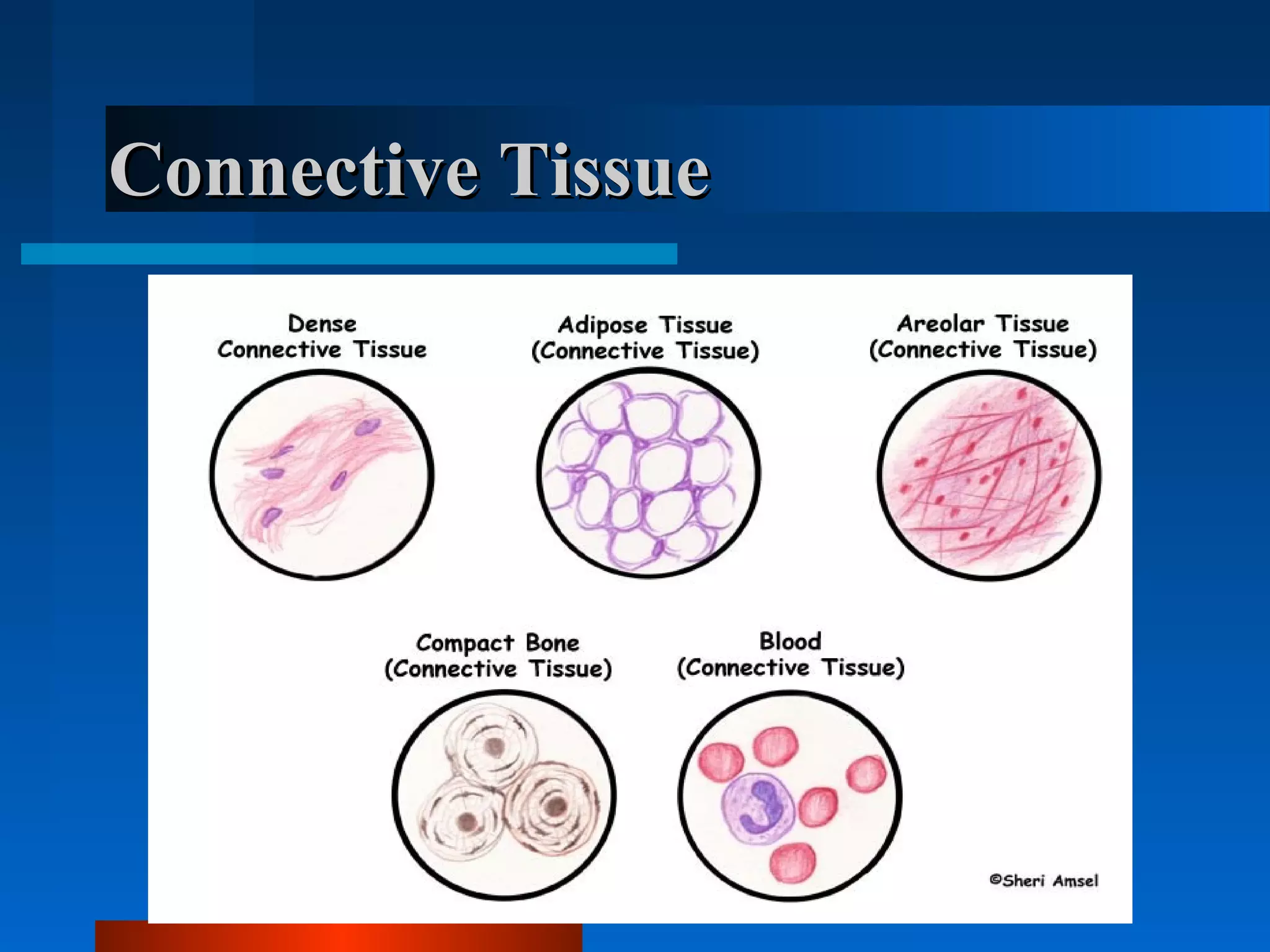 Principles of tissue diagnosis | PPT