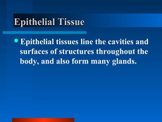 Principles of tissue diagnosis | PPT