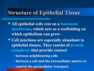 Principles of tissue diagnosis | PPT