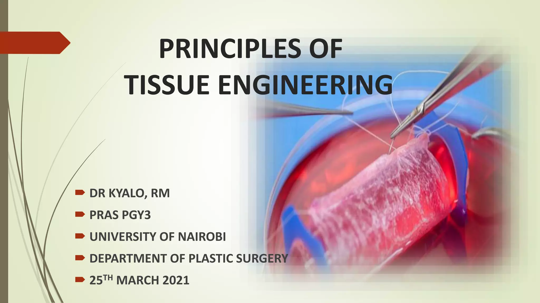 Principles of tissue engineering | PPTX