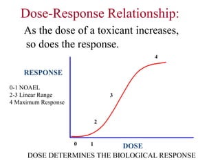 Principles of toxicology 1.pptx